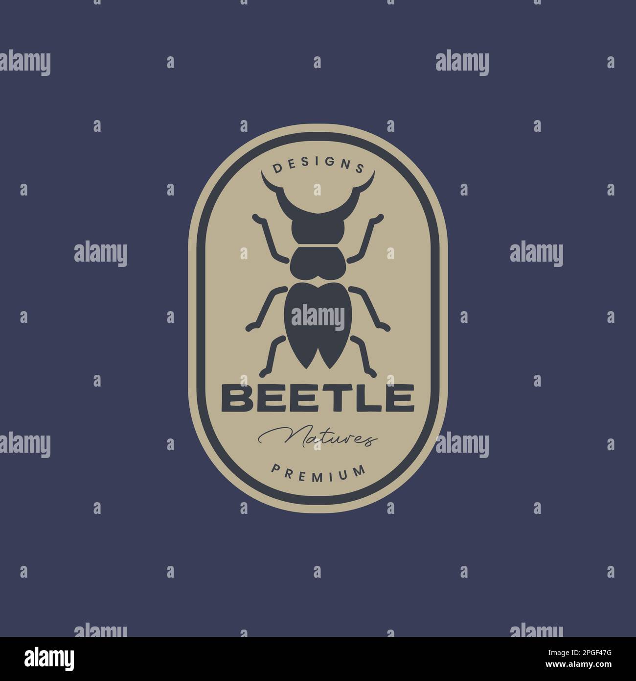 animal insect beetle simple badge vintage logo design vector Stock ...