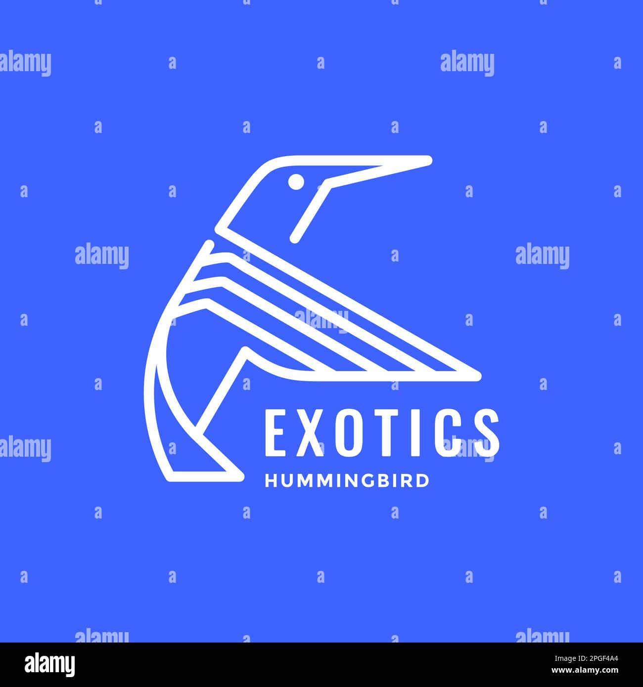 exotics bird hummingbird flying polygonal geometric modern minimal logo ...