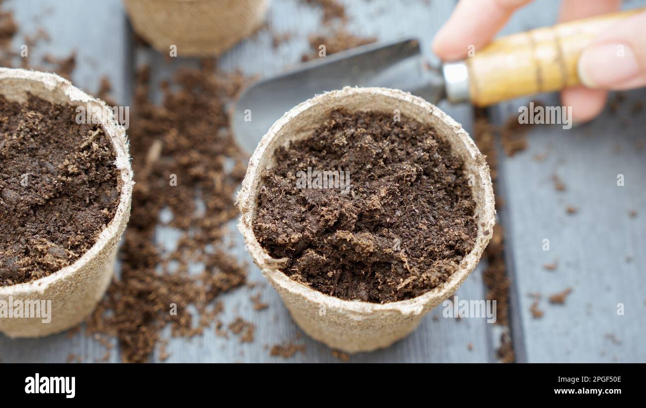 Close up of hand in yellow glove planting a seed in eco friendly ...