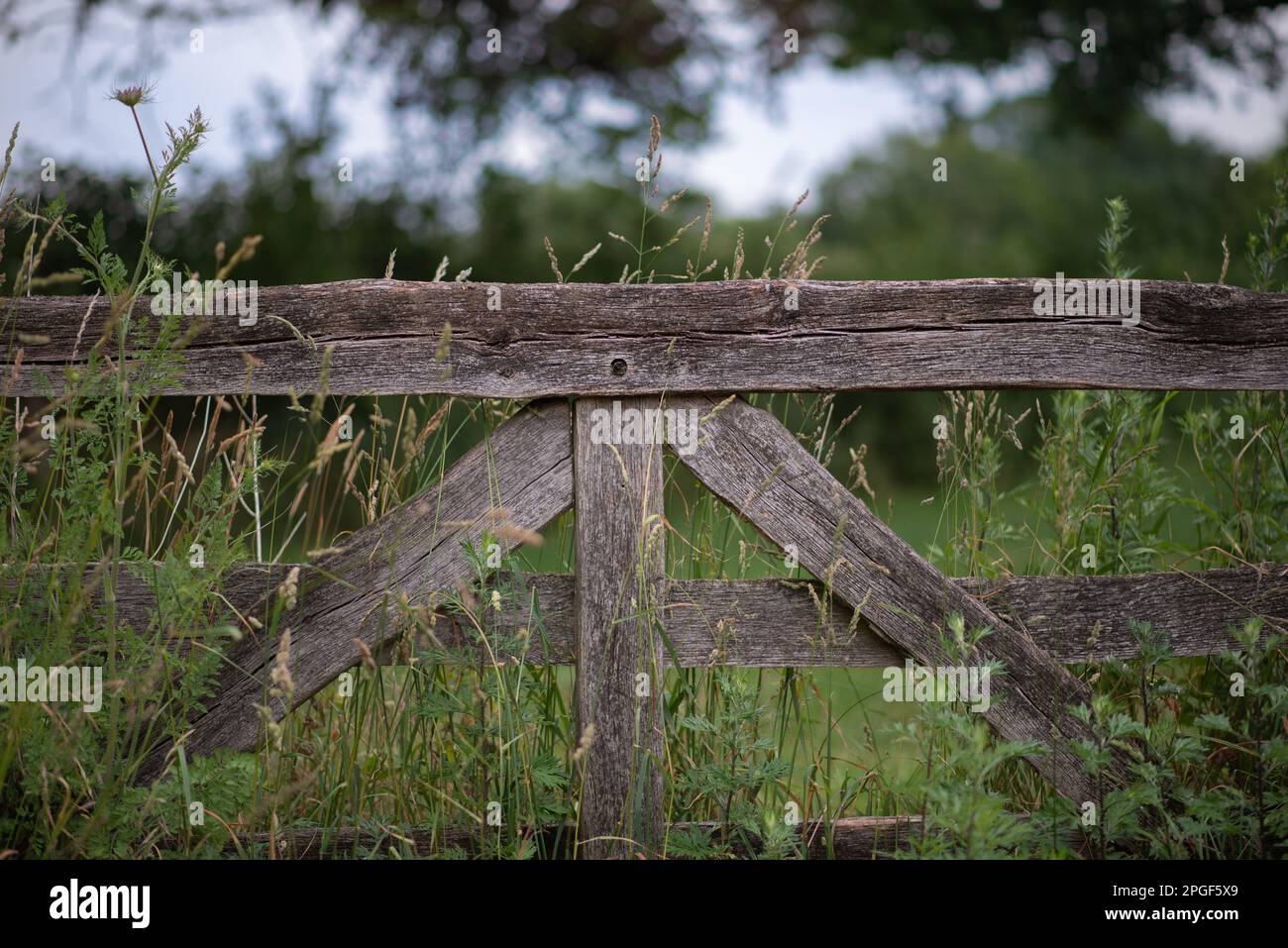 Close up of an old wooden fence background Stock Photo - Alamy