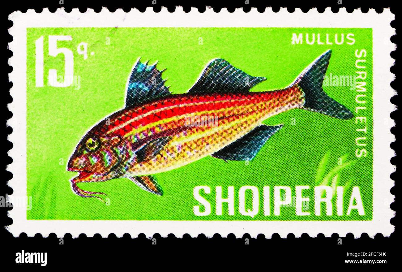 MOSCOW, RUSSIA - MARCH 16, 2023: Postage stamp printed in Albania shows ...