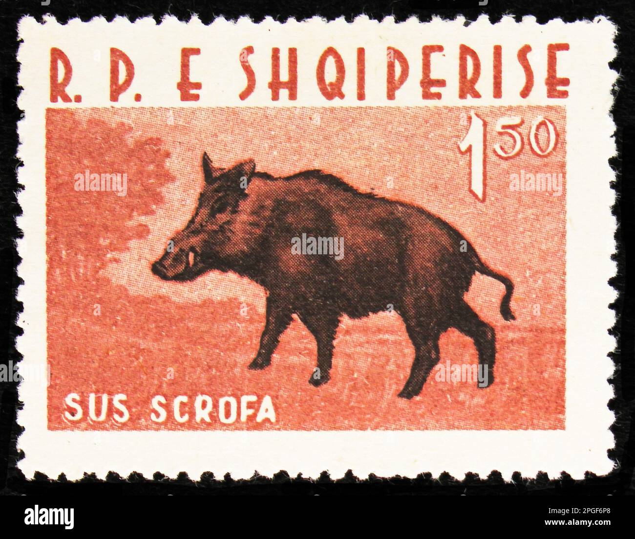 MOSCOW, RUSSIA - MARCH 16, 2023: Postage stamp printed in Albania shows ...