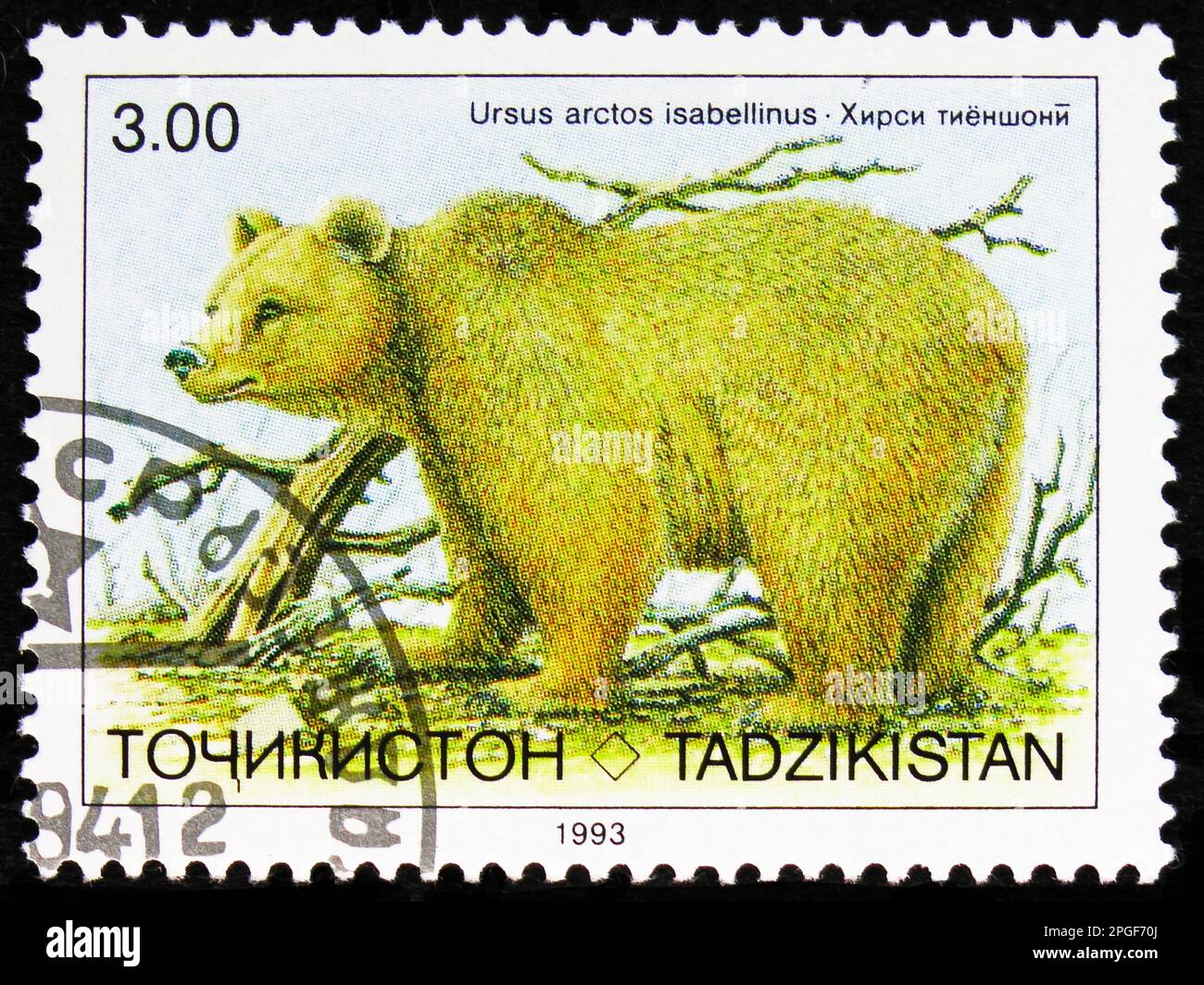 MOSCOW, RUSSIA - MARCH 16, 2023: Postage stamp printed in Tajikistan ...