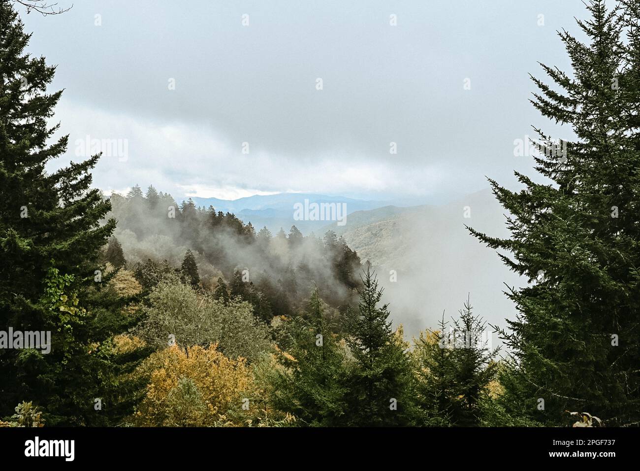 Newfound Gap in Great Smoky Mountains National Park Stock Photo - Alamy
