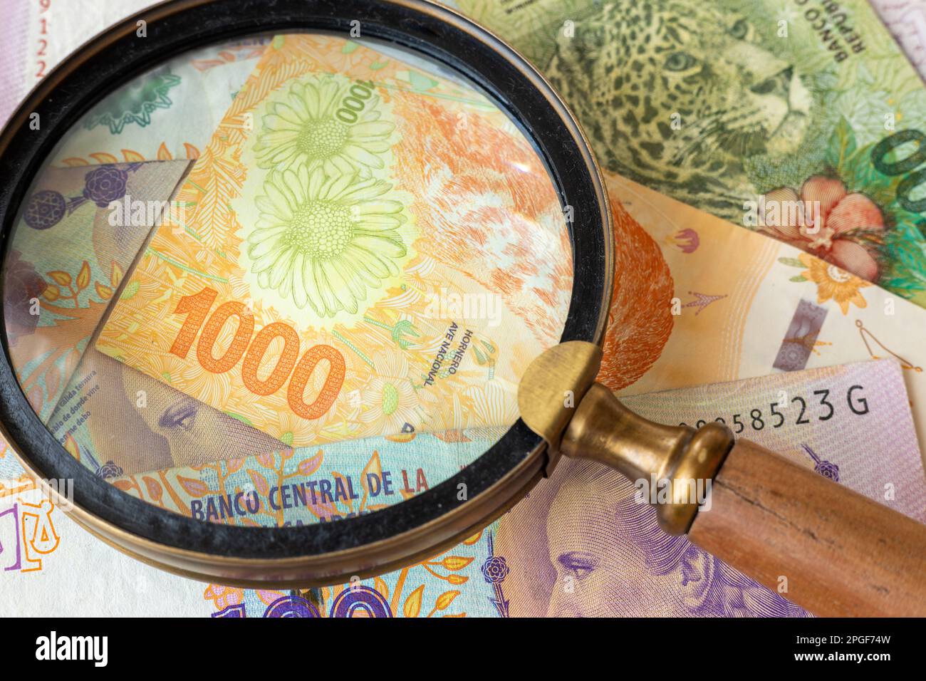 Argentine money, highest denominations, Argentine cash under the ...