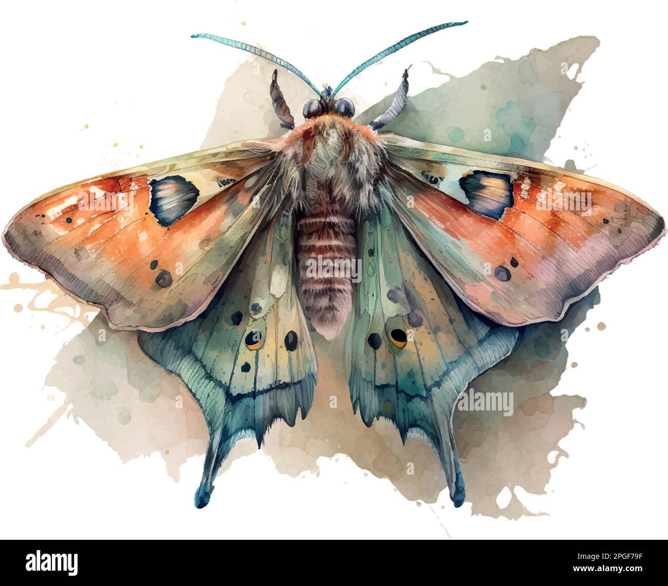 Moth illustration Watercolor Hand drawn butterfly logo design Stock ...