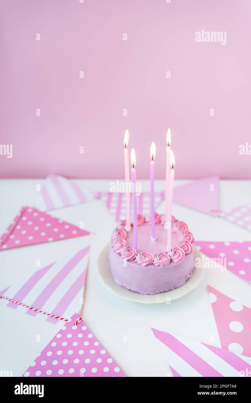 Delicate lavender pink bento cake on a plate on a pink background of ...