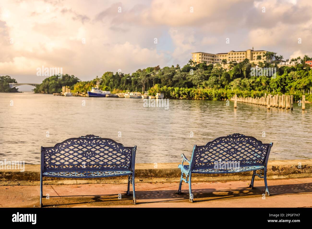 Beautiful view bench nature hi-res stock photography and images - Alamy