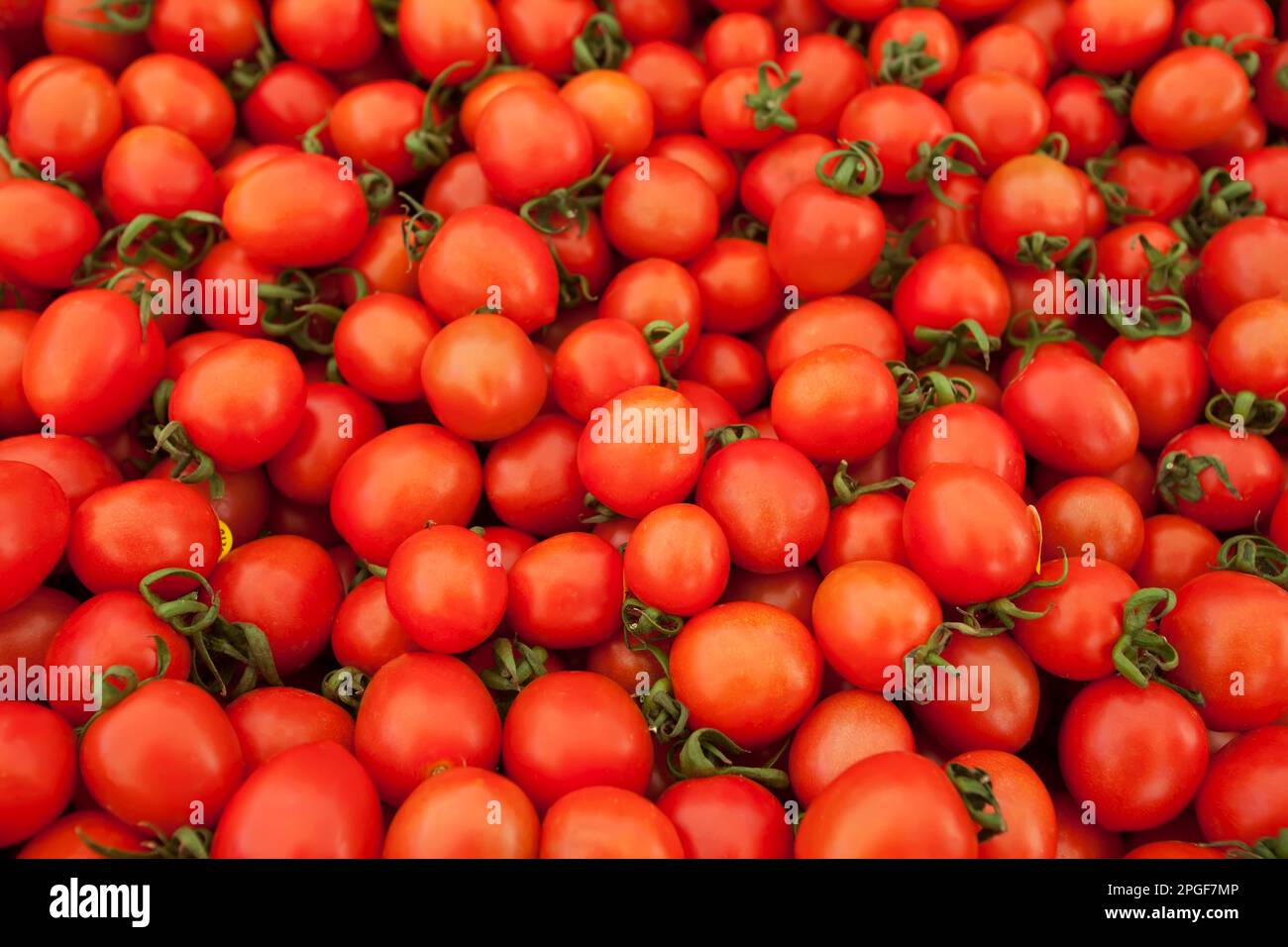 Cherry red tasty tomatoes hi-res stock photography and images - Alamy