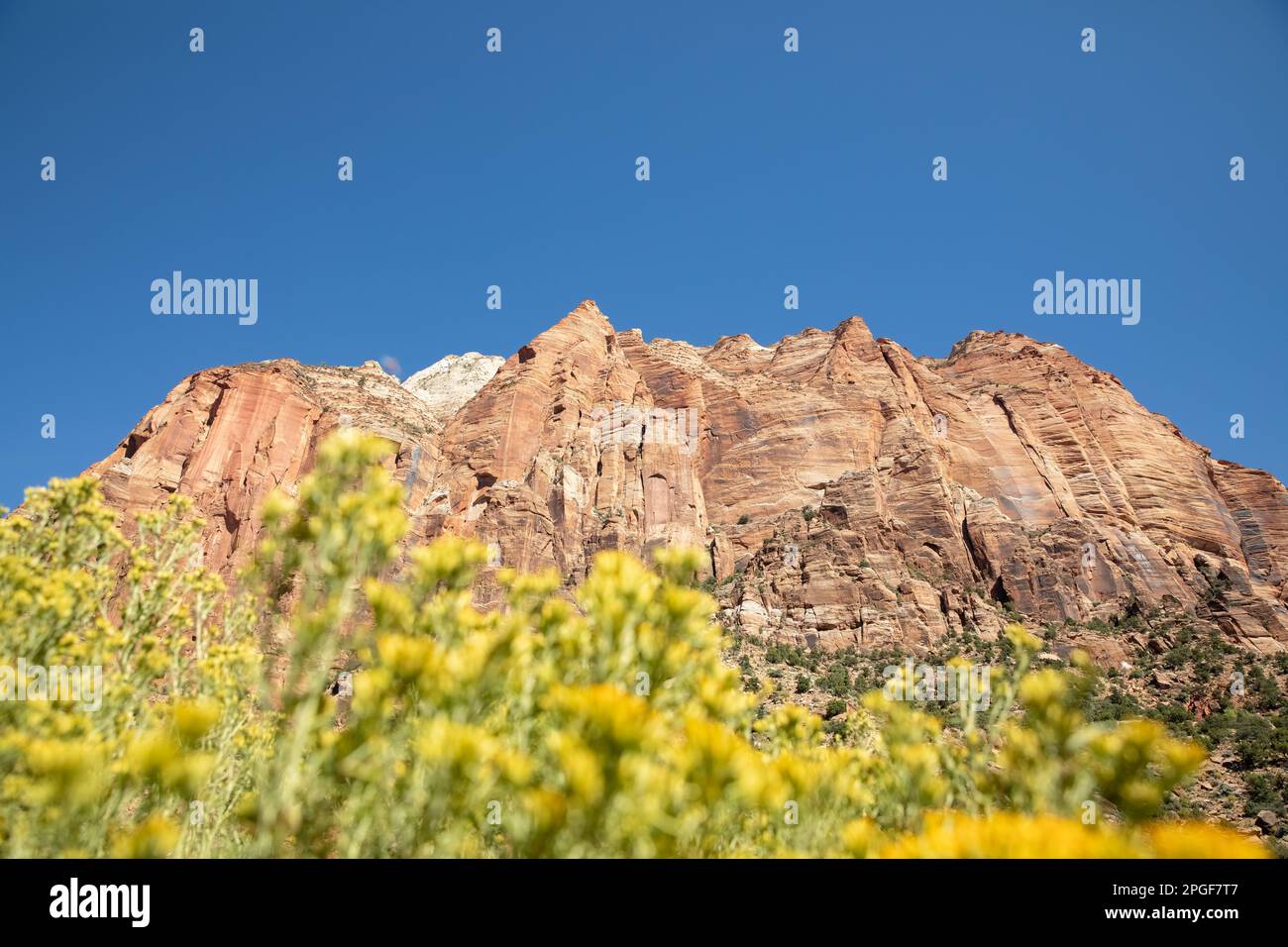 Kolob Canyons in Zion National Park Stock Photo - Alamy