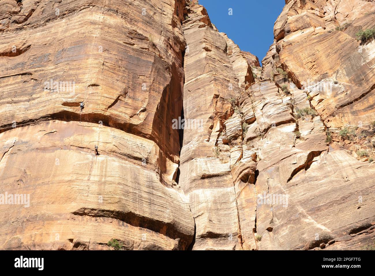 Canyon walls in Zion National Park on Weeping Rock Trail Stock Photo ...