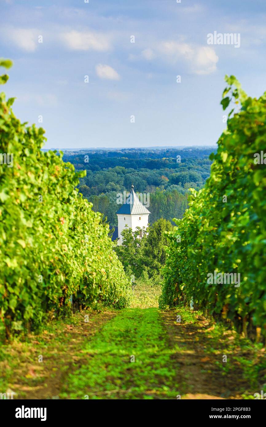 Vineyard and church were built for eternity Stock Photo - Alamy
