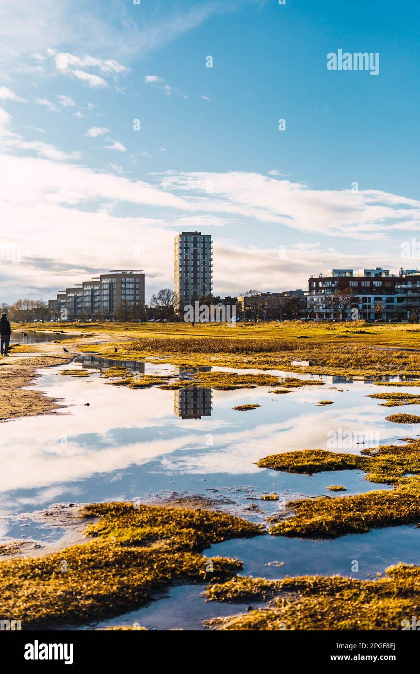 Beach buildings in background hi-res stock photography and images - Alamy