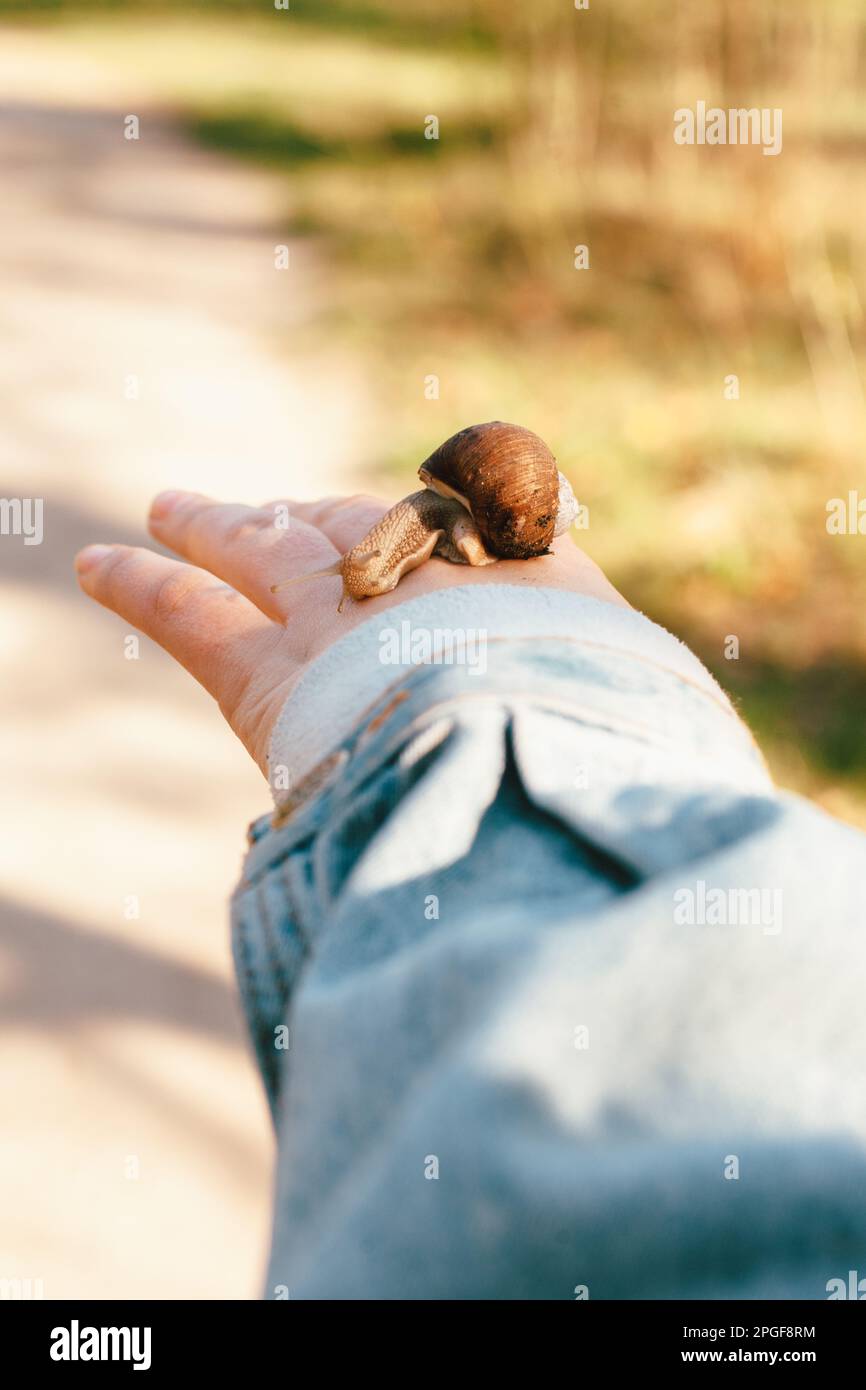 Girl holding snail on her hand outdoors Stock Photo - Alamy
