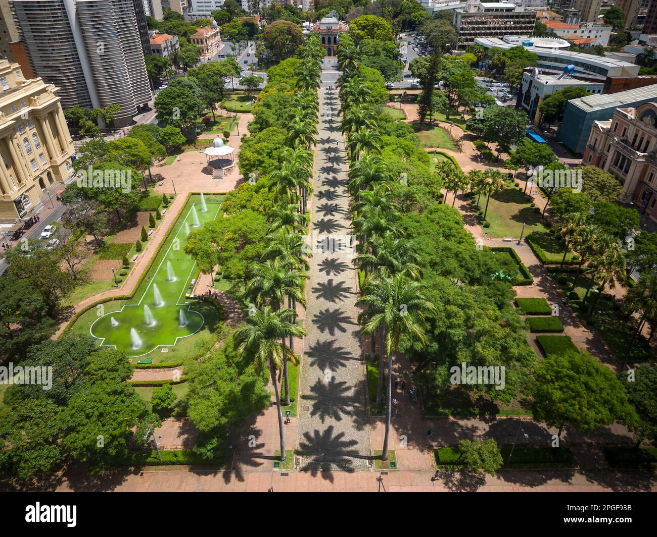 Beautiful drone view to line of imperial palm trees on green square ...
