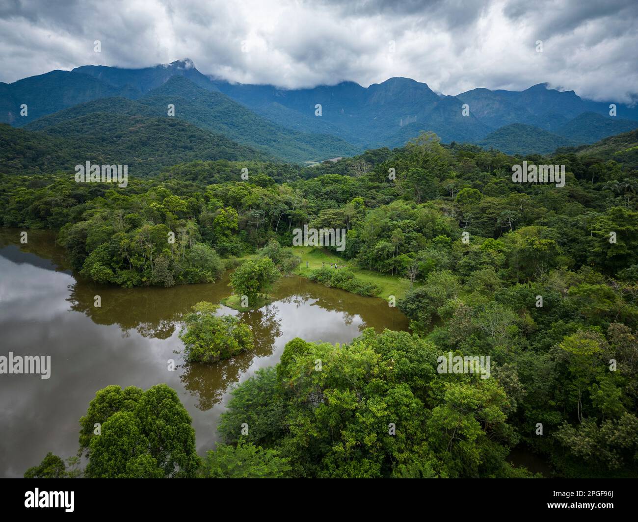 Beautiful aerial drone view to wetlands and lakes on green rainforest ...