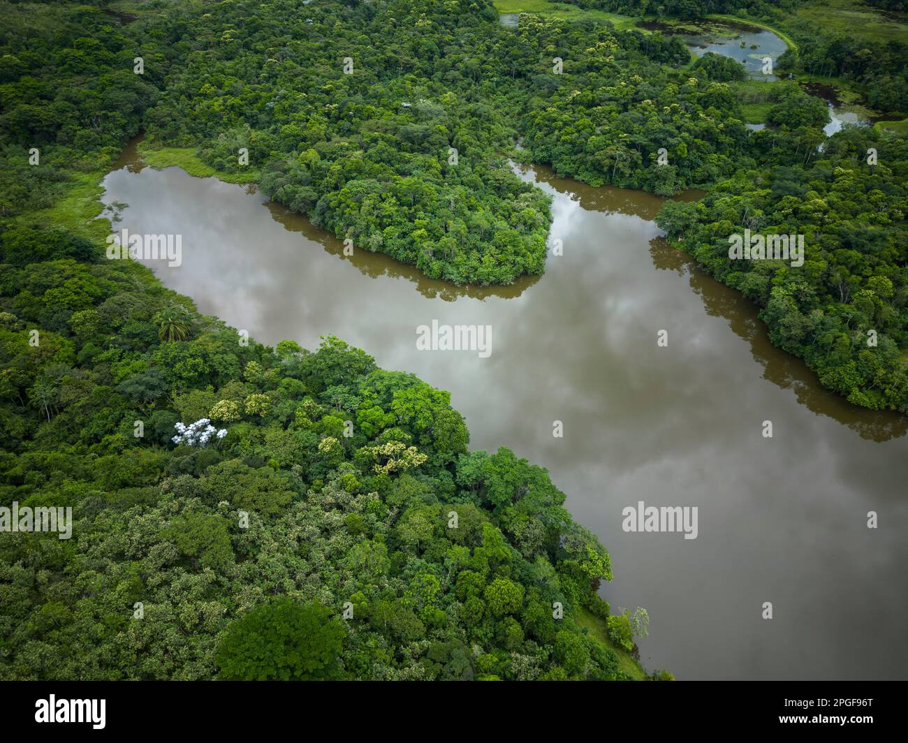 Beautiful aerial view to wetlands and lakes on green rainforest Stock ...