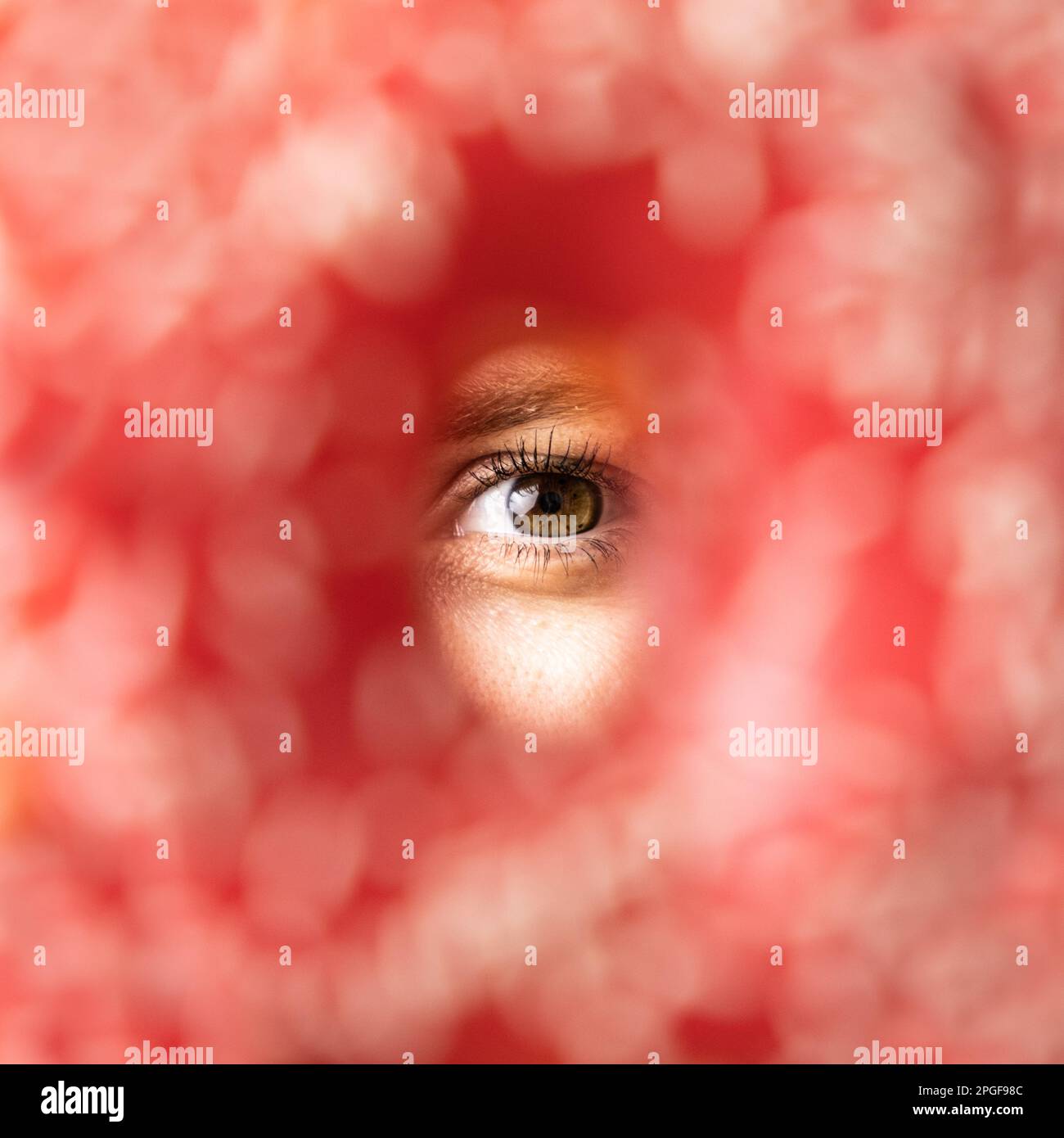 Peeping. A woman's brown eye looks into the camera through an oval hole ...