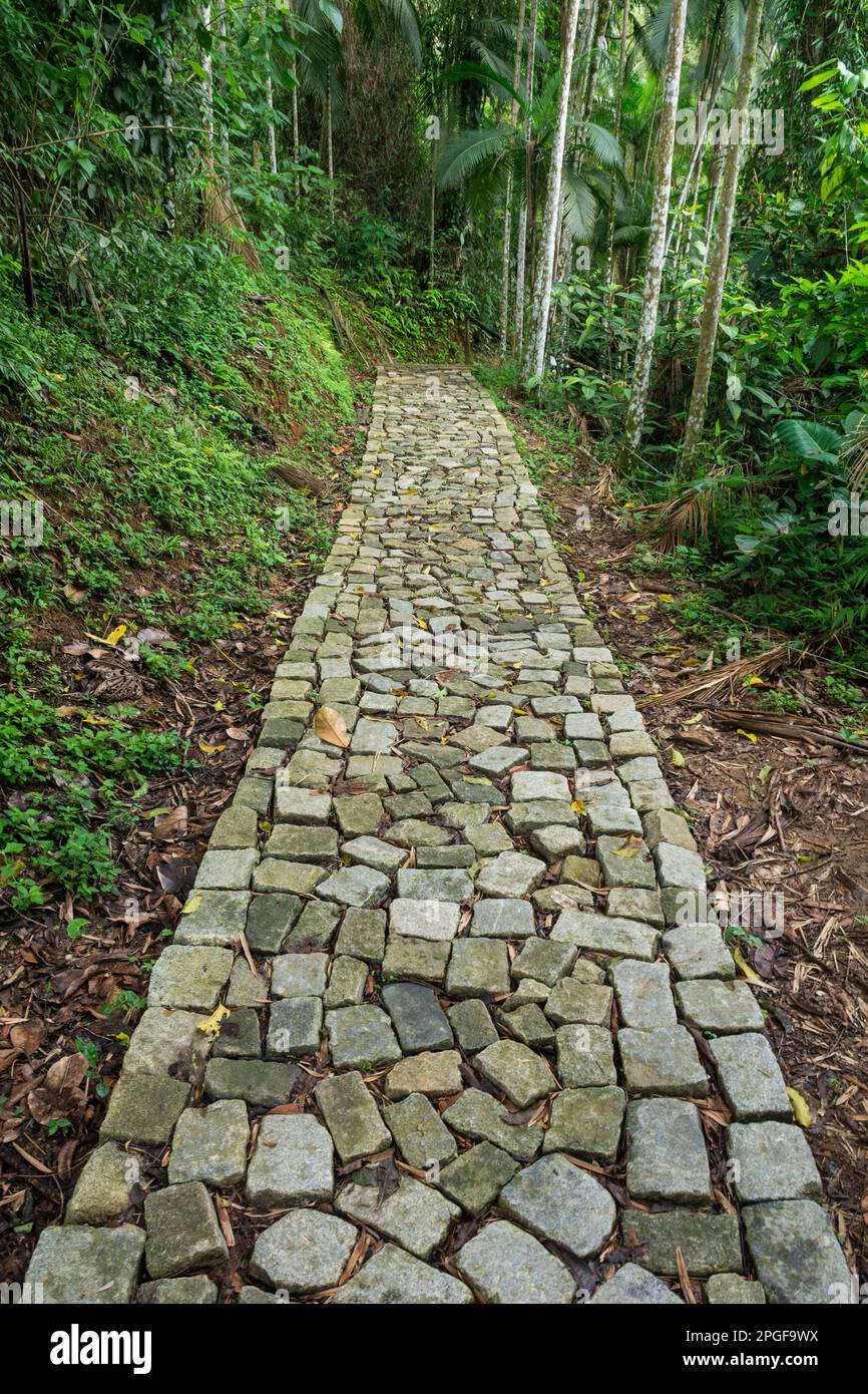 Cachoeira do toboga hi-res stock photography and images - Alamy