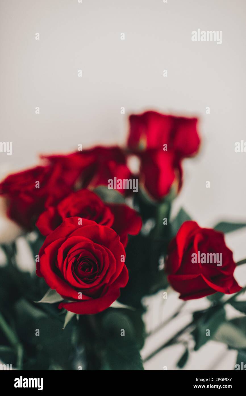 Bouquet fresh bright roses hi-res stock photography and images - Alamy