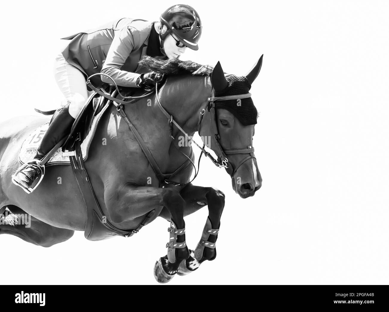 Riders compete with their mounts. Image has been edited to remove ... Riders compete with their mounts. Image has been edited to remove ...