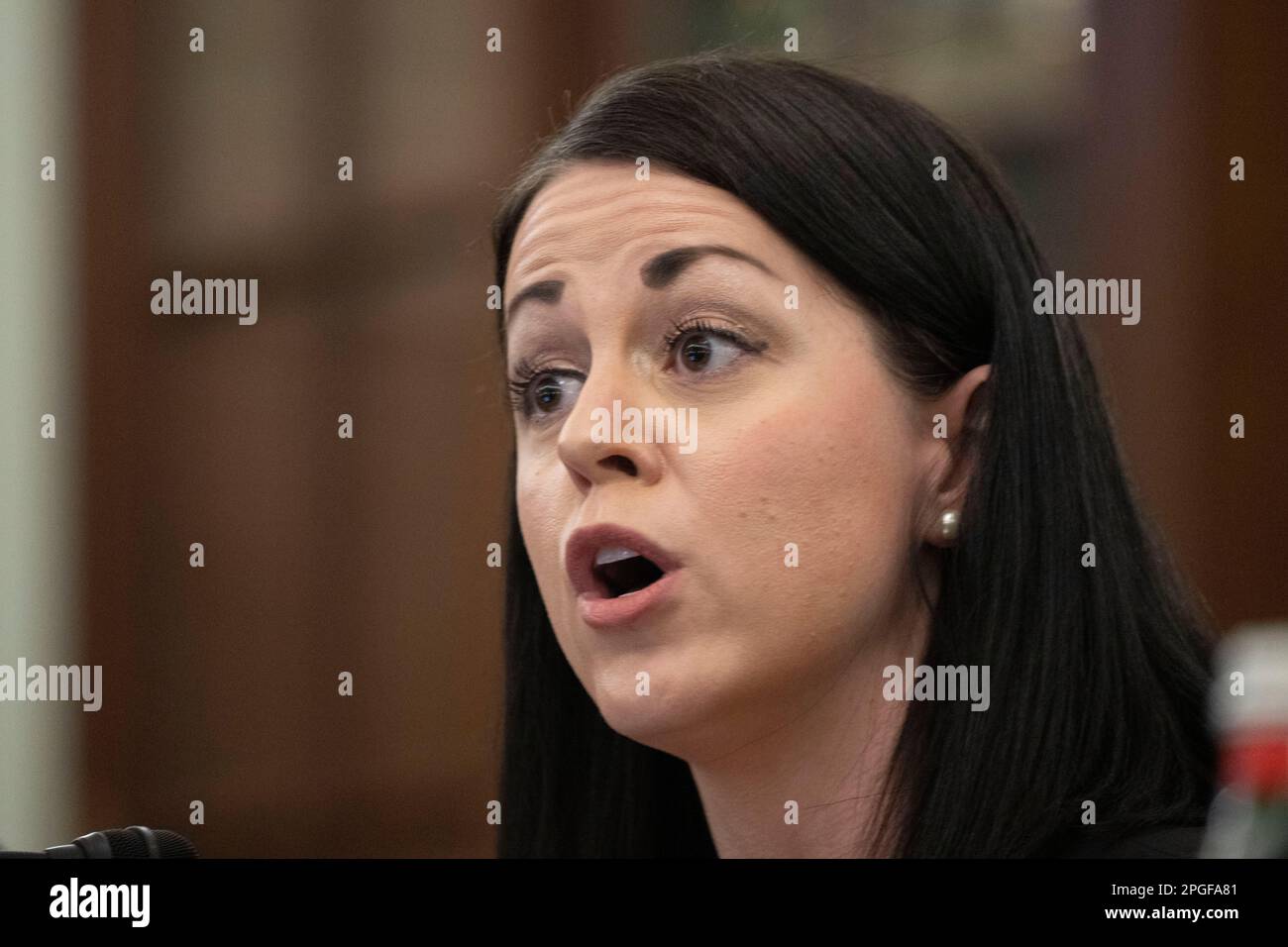 East Palestine , Ohio, resident Misti Allison testifies before a Senate ...