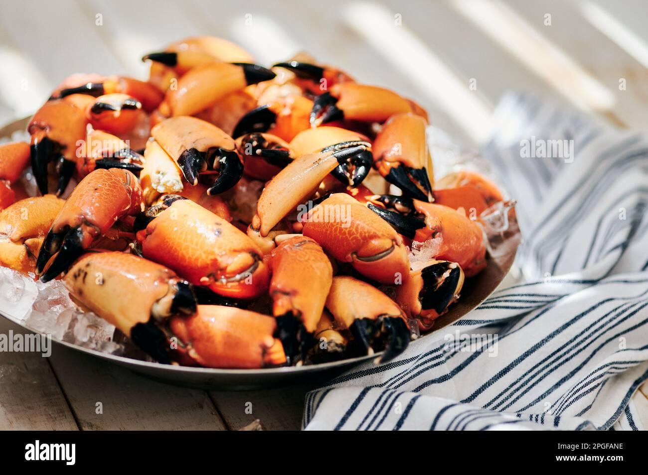 fresh pangora legs on ice Stock Photo - Alamy