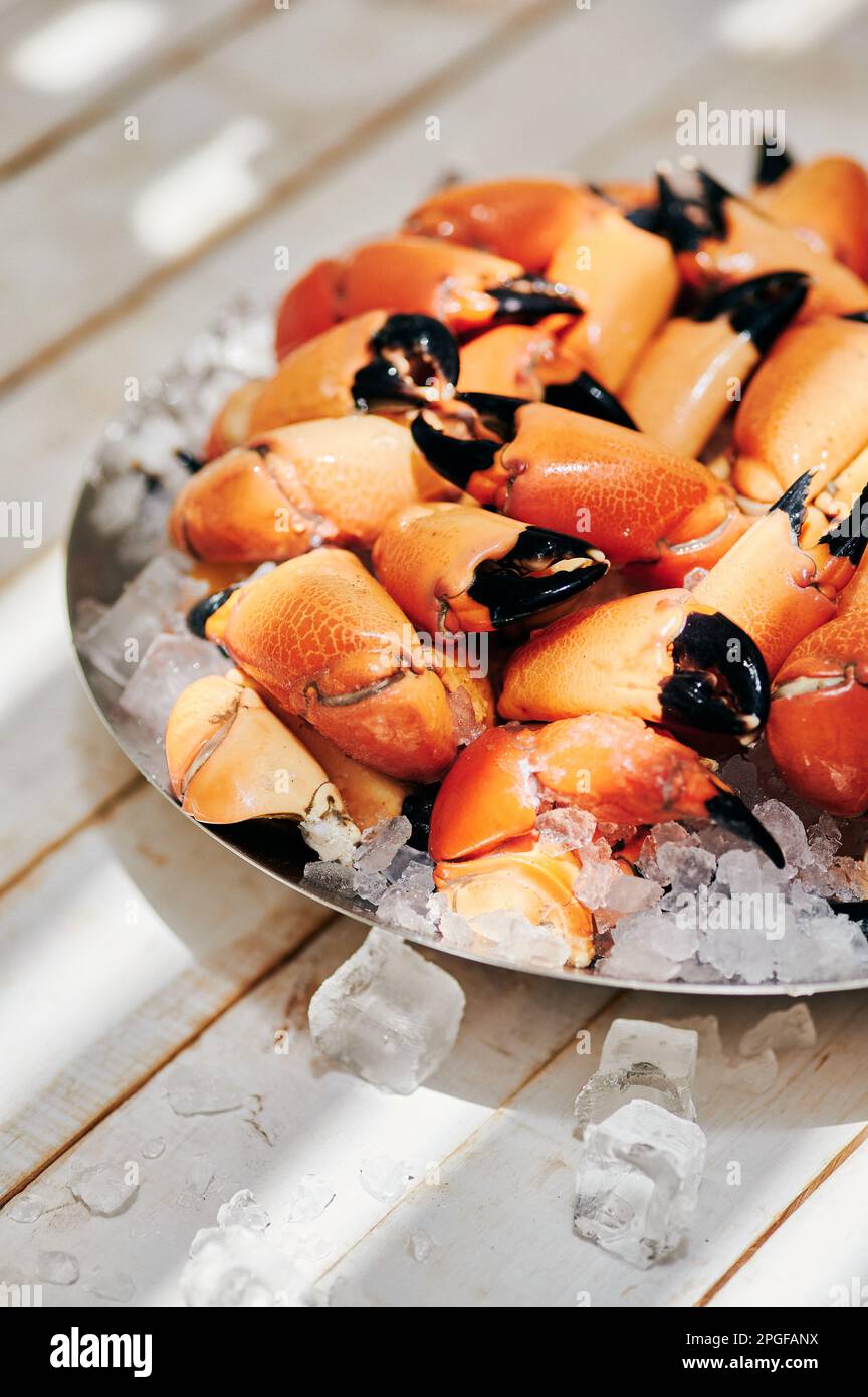 fresh pangora legs on ice Stock Photo - Alamy