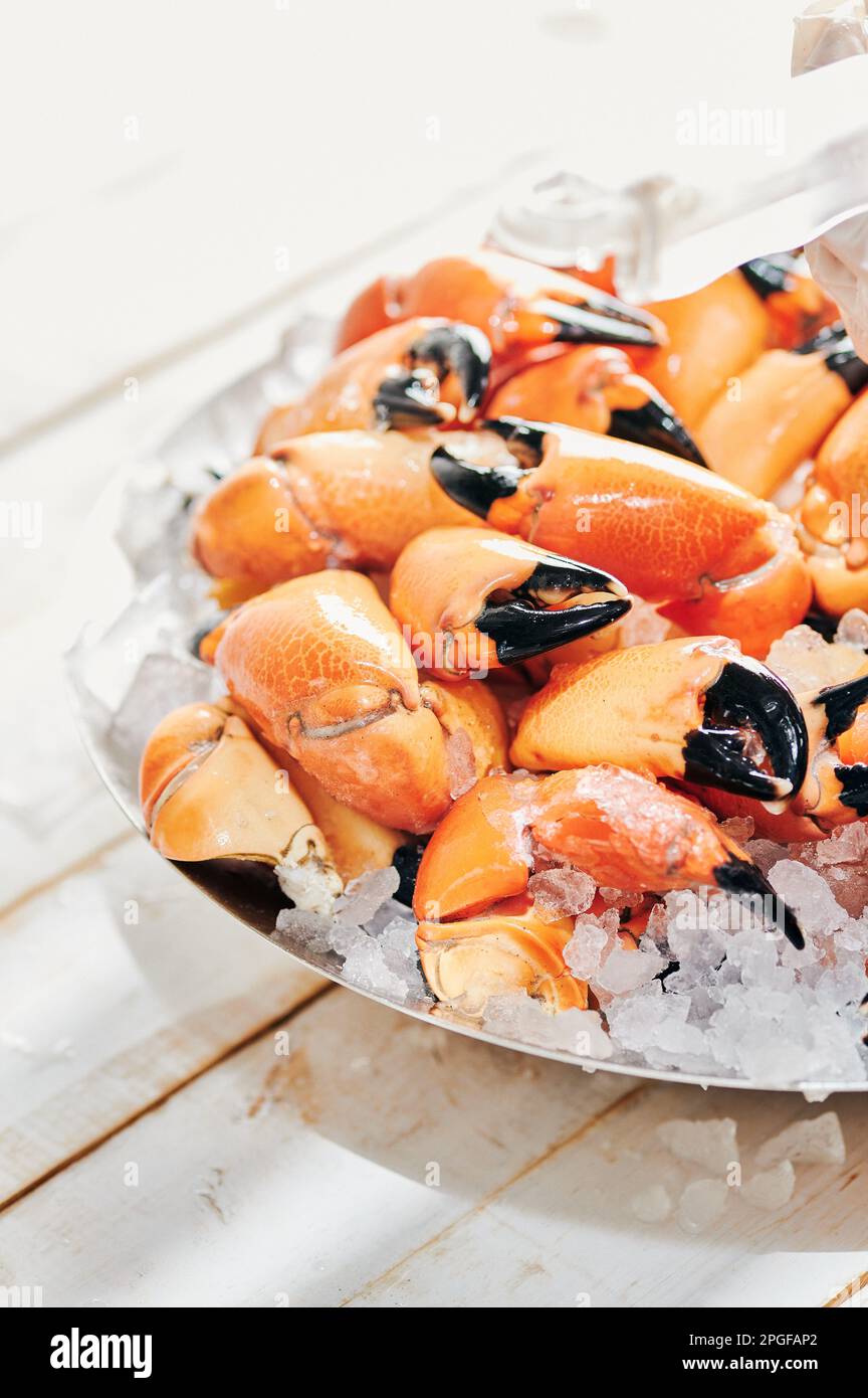 fresh pangora legs on ice Stock Photo - Alamy