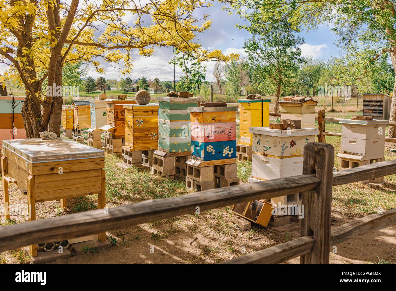 Beekeeper at hive, surrounded by bees hi-res stock photography and ...