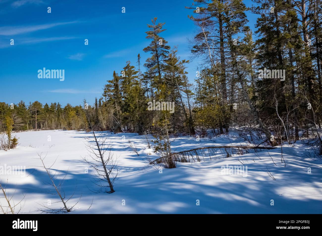 Sand Point Marsh Trail in winter, Pictured Rocks National Lakeshore ...