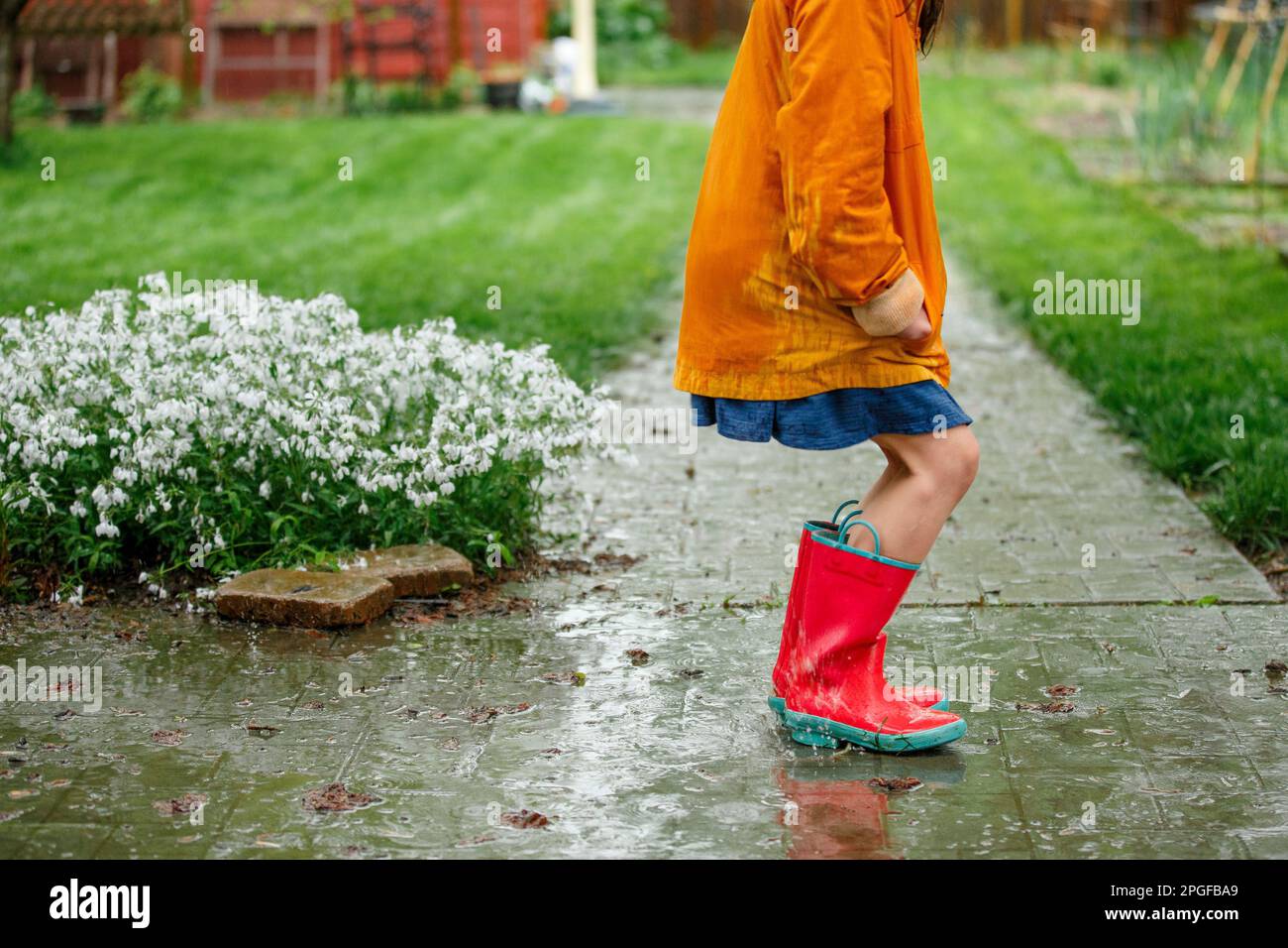 bottom half of child in rain boots splashing in puddle Stock Photo - Alamy