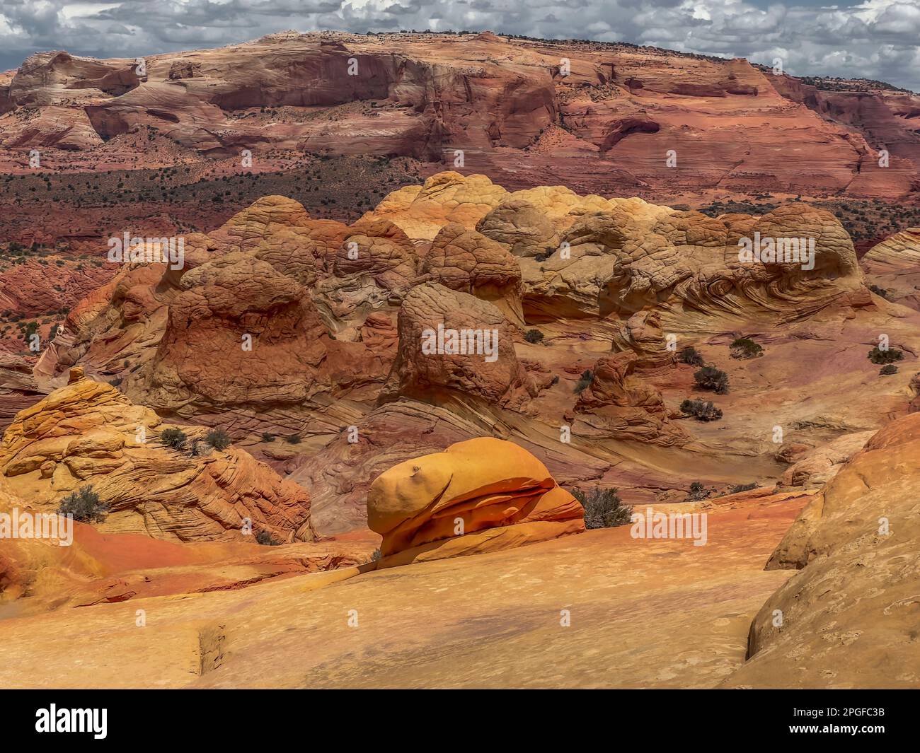 Vermilion cliffs in marble hi-res stock photography and images - Alamy