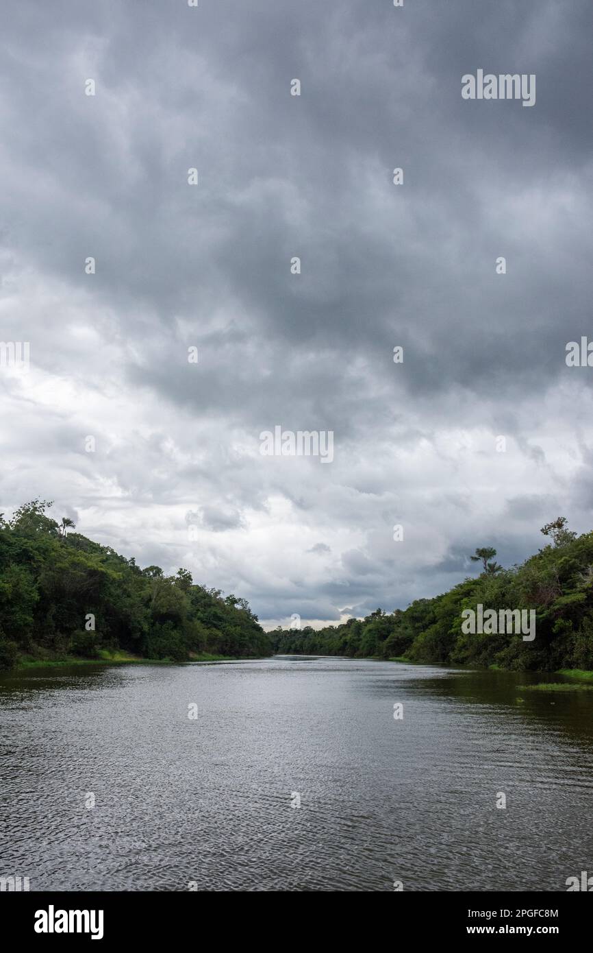 Beautiful view to large river, big rain clouds and green Amazon Forest ...