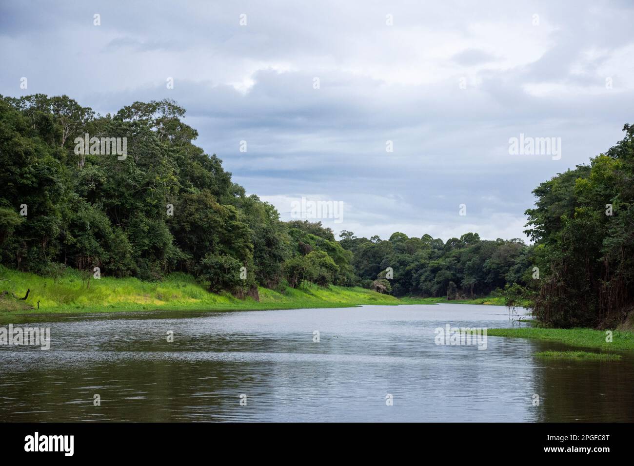 Beautiful view to large river and green Amazon Rainforest Stock Photo ...