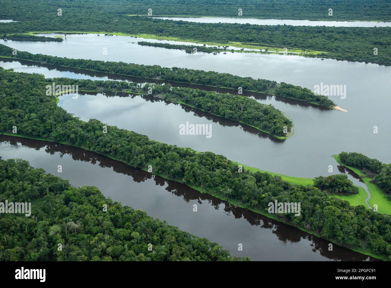 Beautiful aerial view to large river and green Amazon Rainforest Stock ...