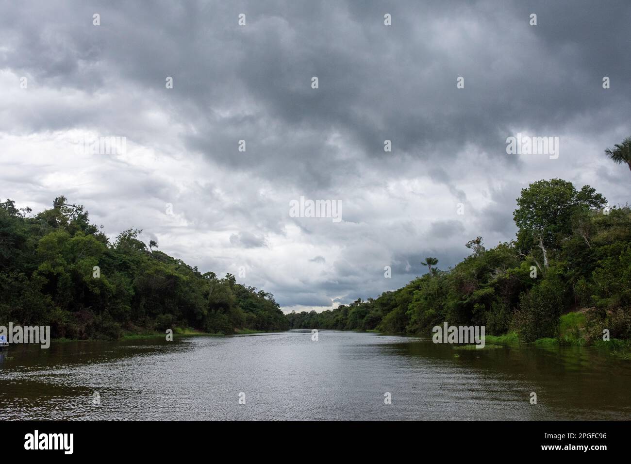 Beautiful view to large river, big rain clouds and green Amazon Forest ...