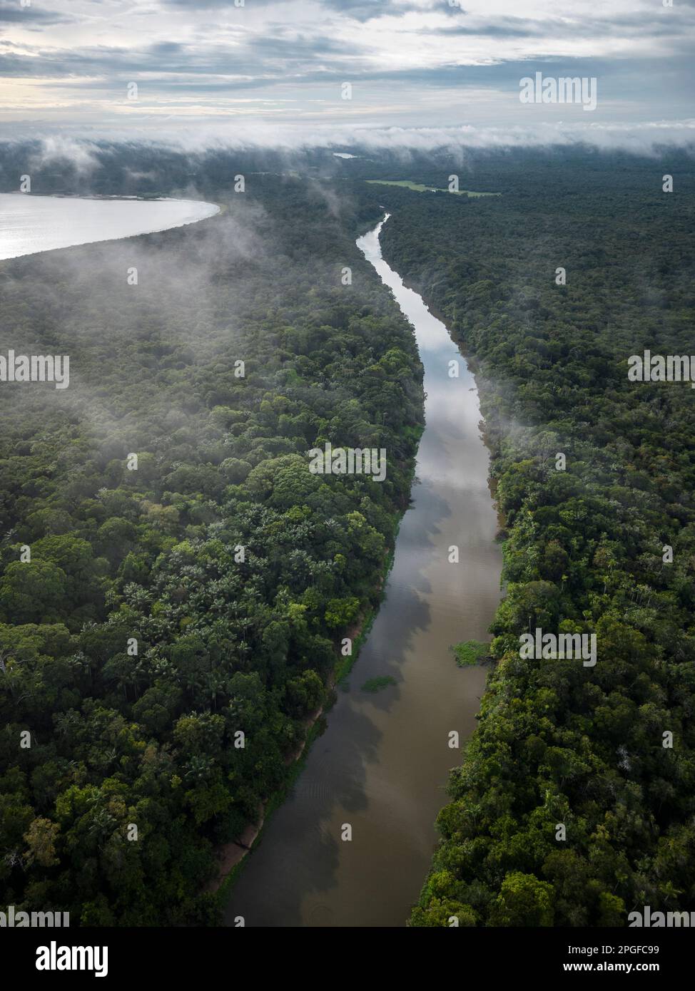 Beautiful aerial drone view to large rivers and green rainforest Stock ...