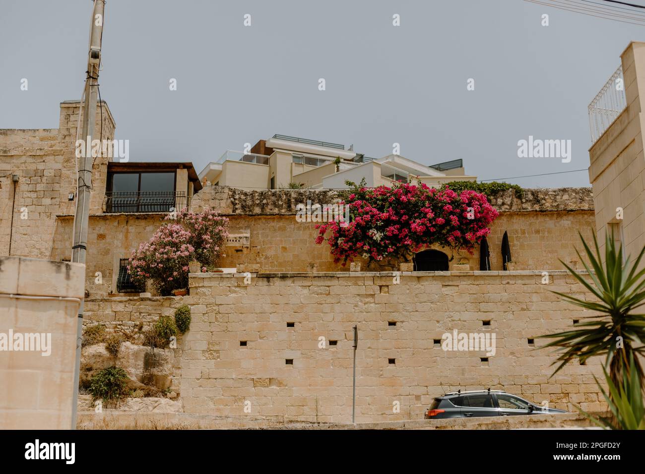 Bright pink flowers on an island wall in Marsaskala, Malta Stock Photo ...