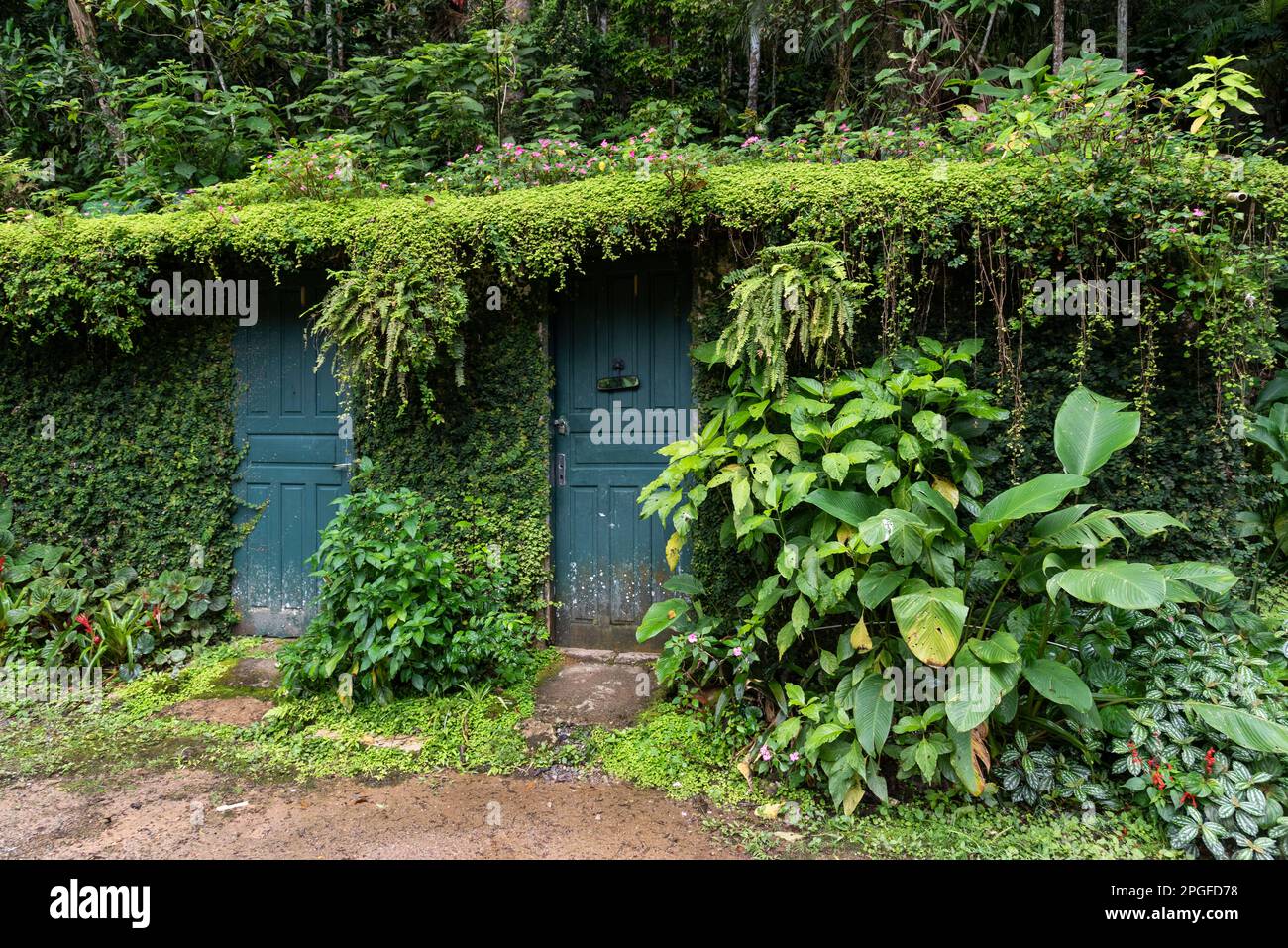 Beautiful view to small hut covered with green vegetation Stock Photo ...