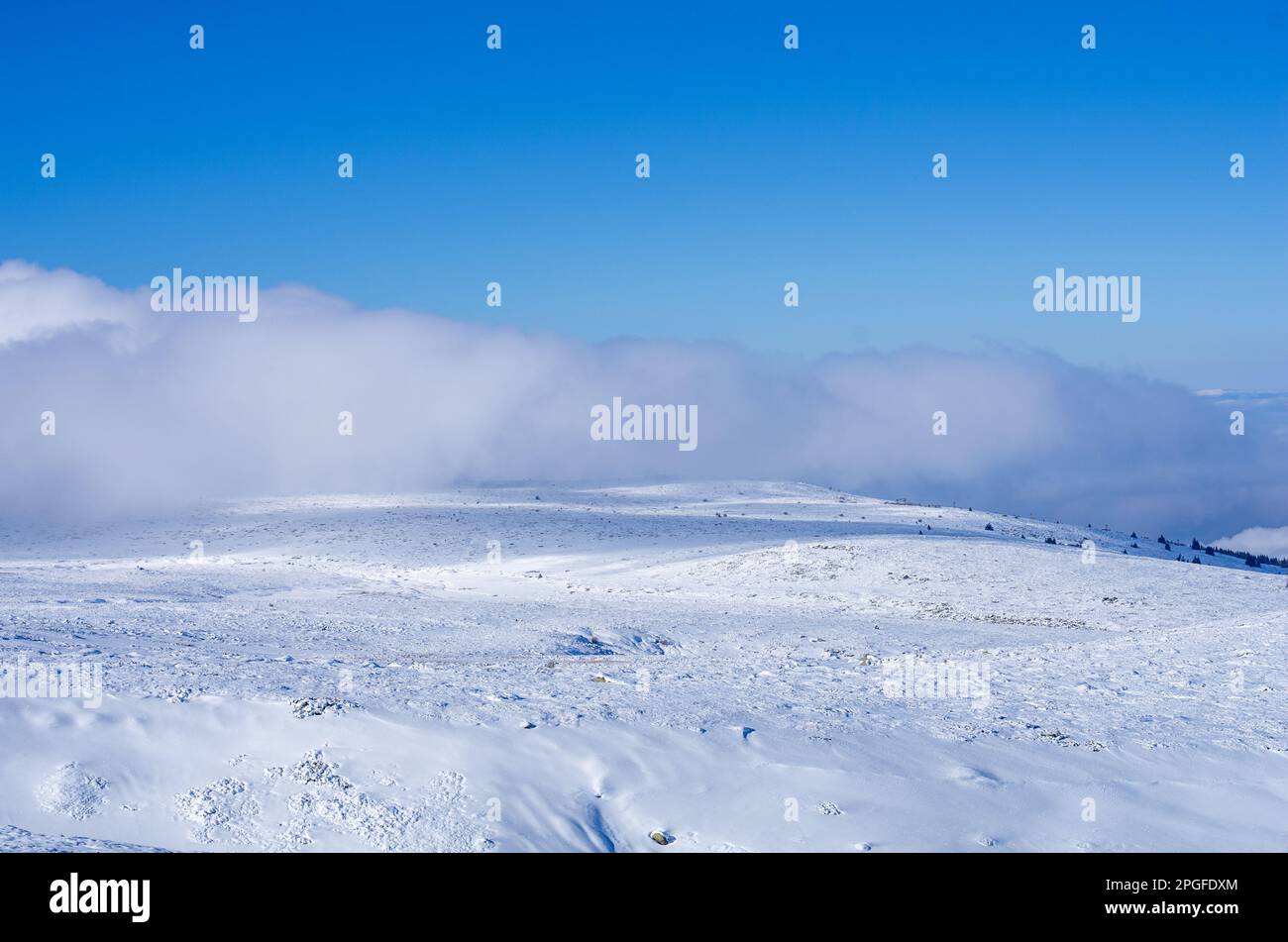 Mountain, snow, freedom Stock Photo - Alamy