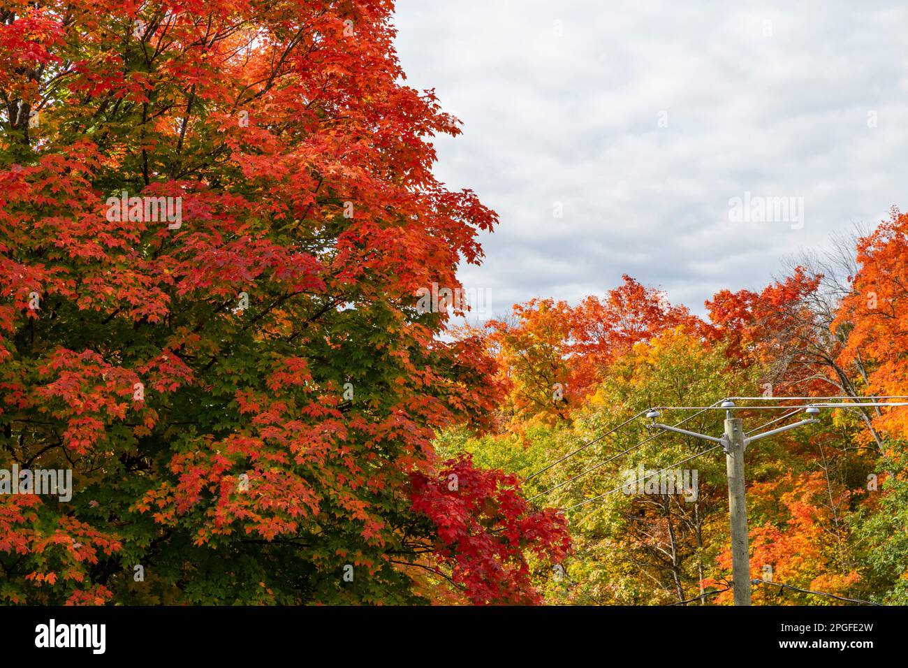 Trees showing there Fall (Autumn) colours in Brownsburg, Quebec, Canada ...