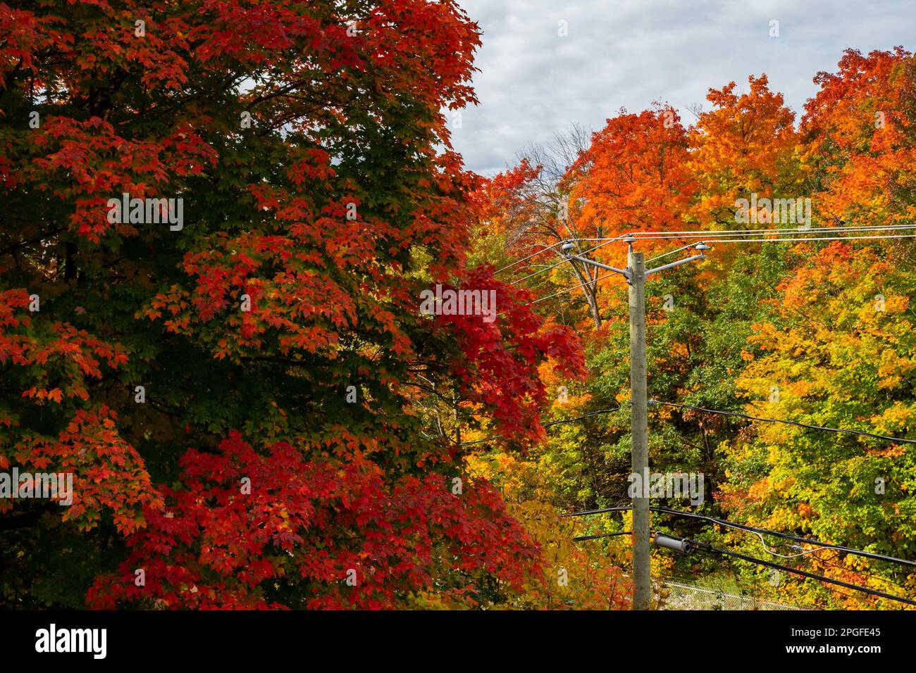 Trees showing there Fall (Autumn) colours in Brownsburg, Quebec, Canada ...