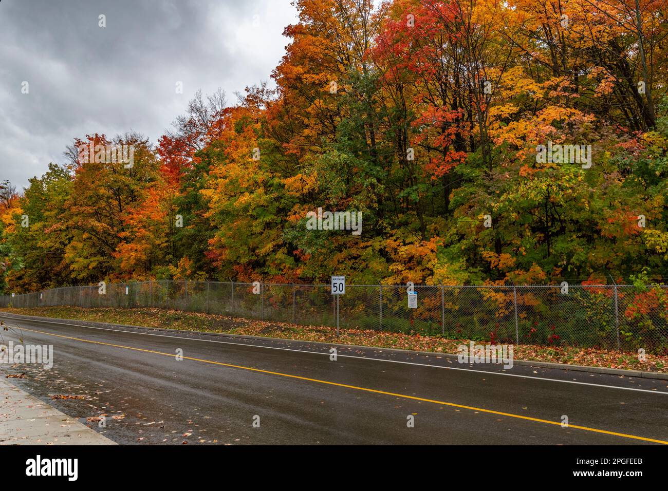 Autumn colours in the Laurentians, Brownsburg-Chatham, Quebec, shows ...