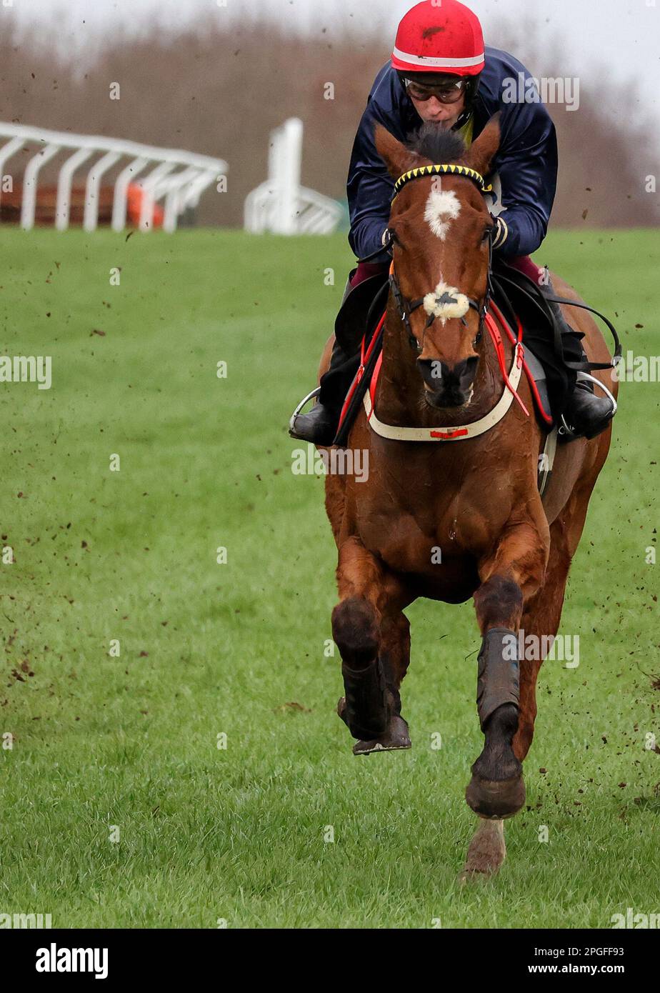 Longhouse poet national hunt race hi-res stock photography and images ...