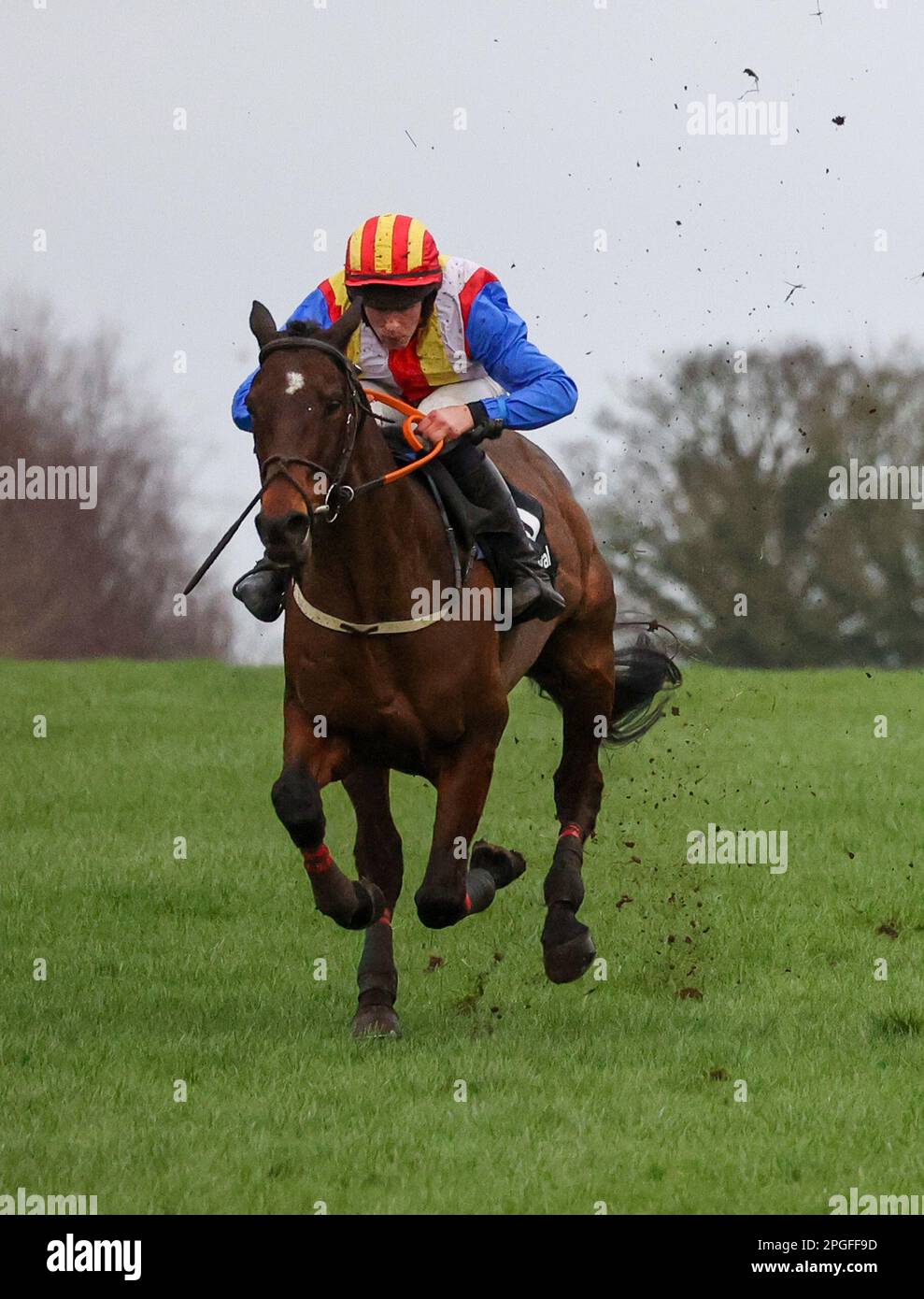 Wee small hours dillon maxwell 2023 hi-res stock photography and images ...