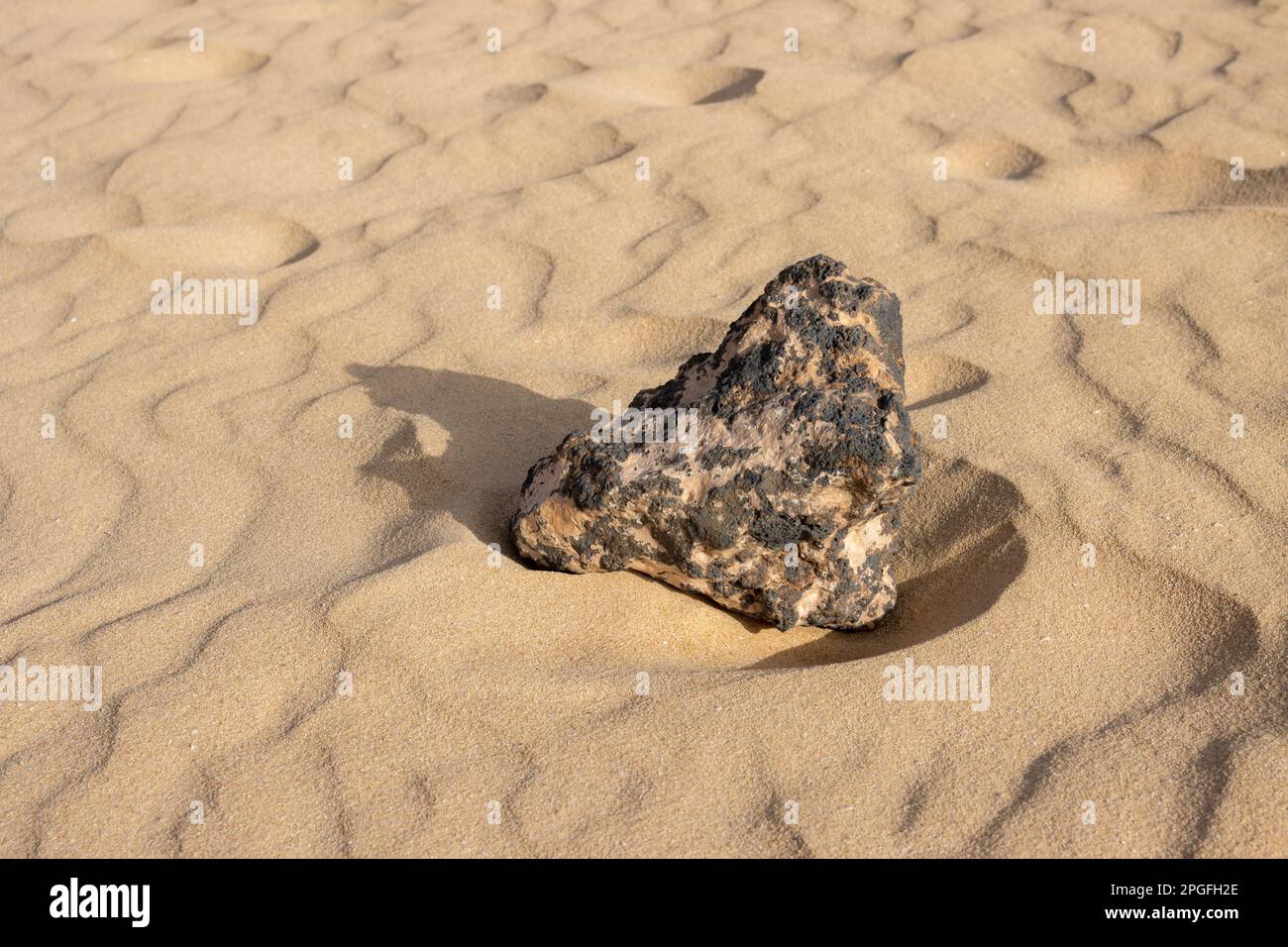 Texture of the sand in a unique european desert. Wavy surface made by ...
