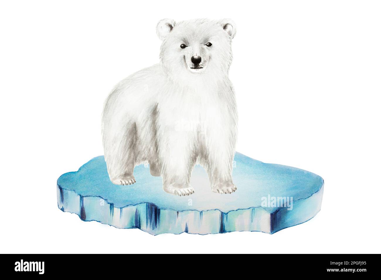 Antarctic Baby Polar Bears