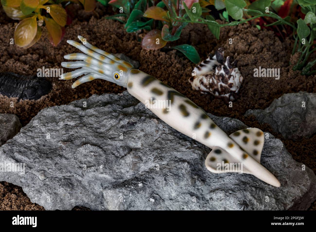 A Belemnite sits atop an even more ancient rock with fossils. Genres ...
