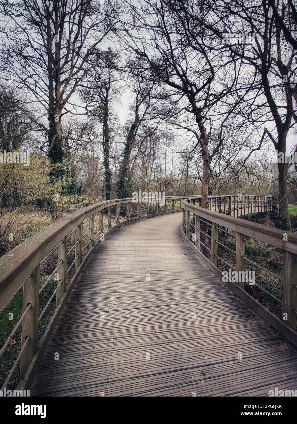 Wooden walkway stretching through hi-res stock photography and images ...